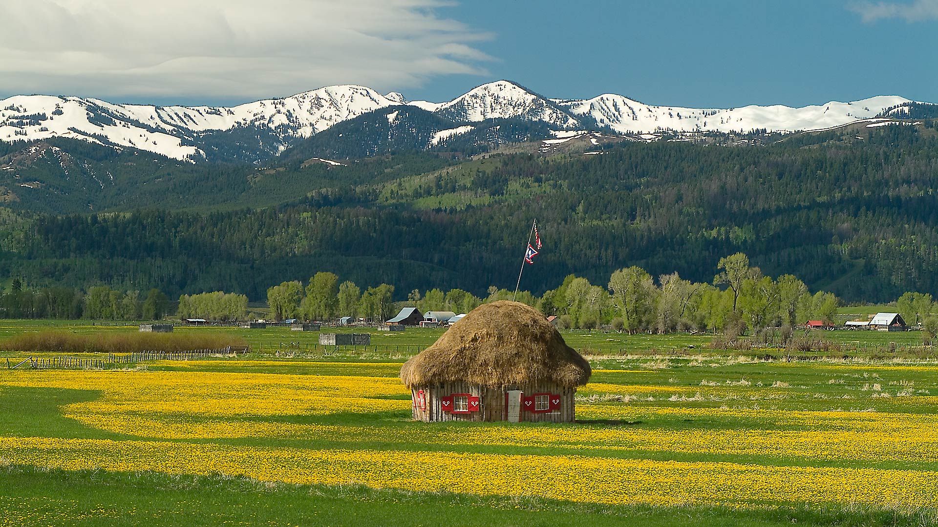 South of Jackson Real Estate