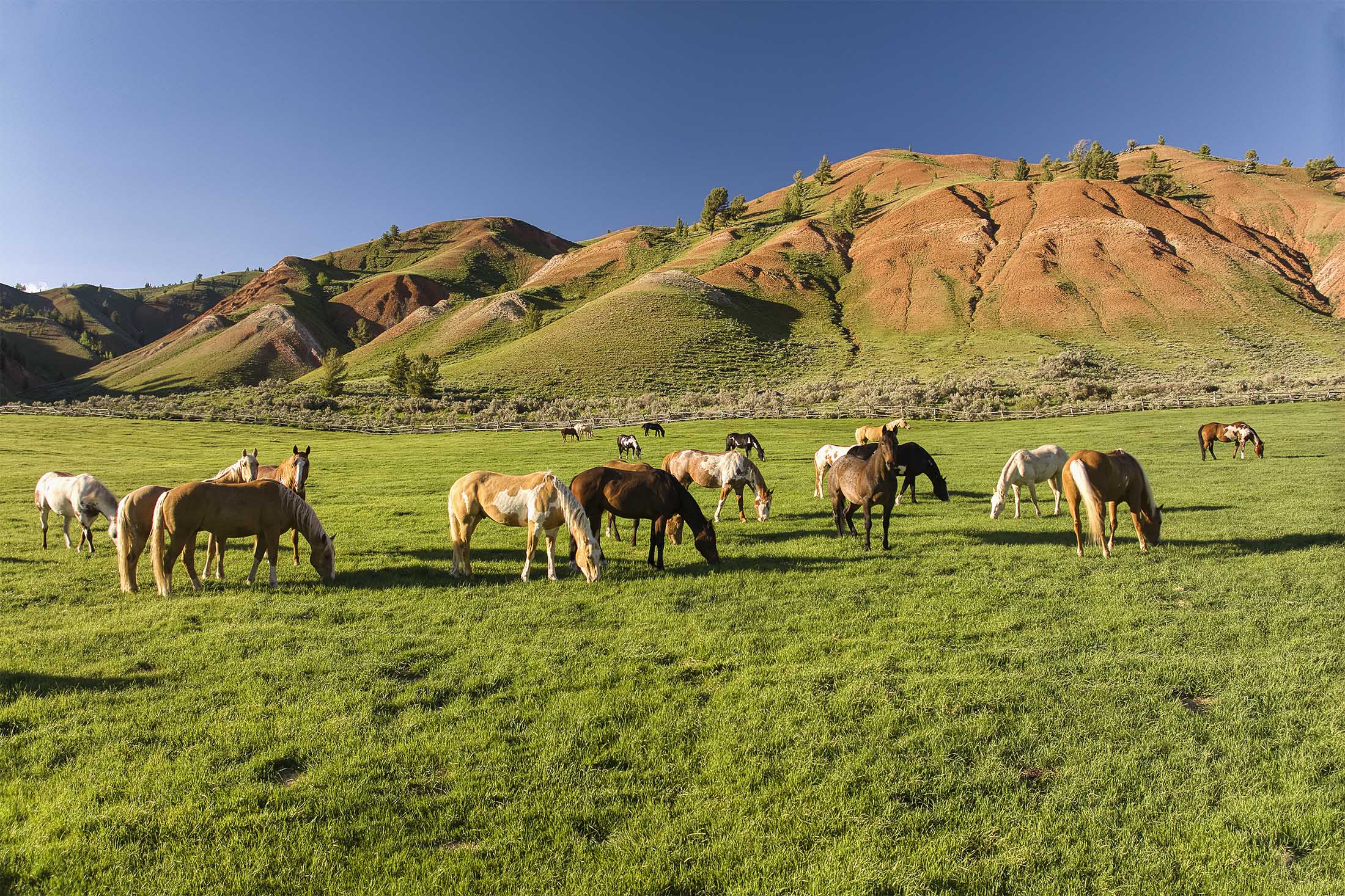 Red Hills Ranch, Jackson Hole, WY For Sale